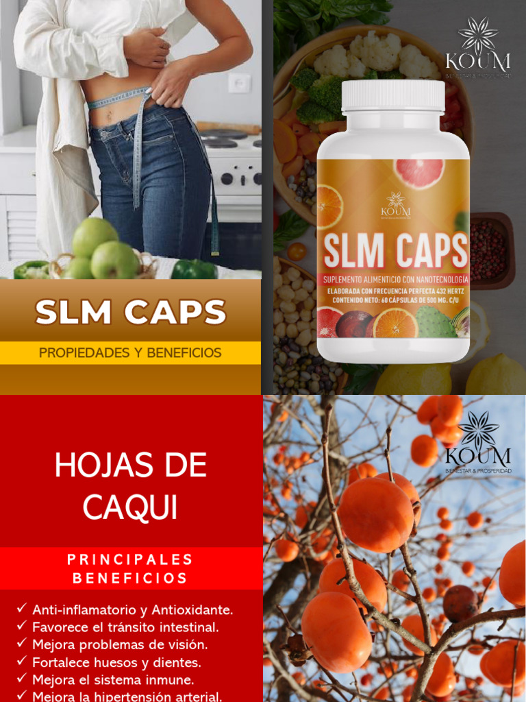 SLM Caps - Ficha Técnica | PDF