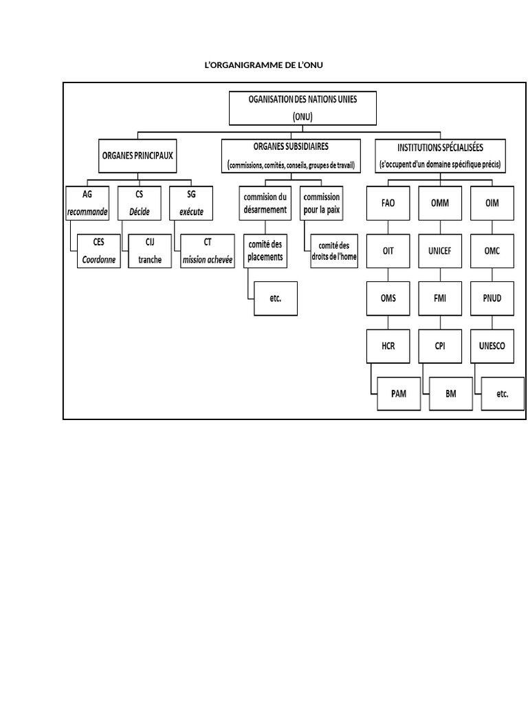 Organigramme de l'ONU | PDF