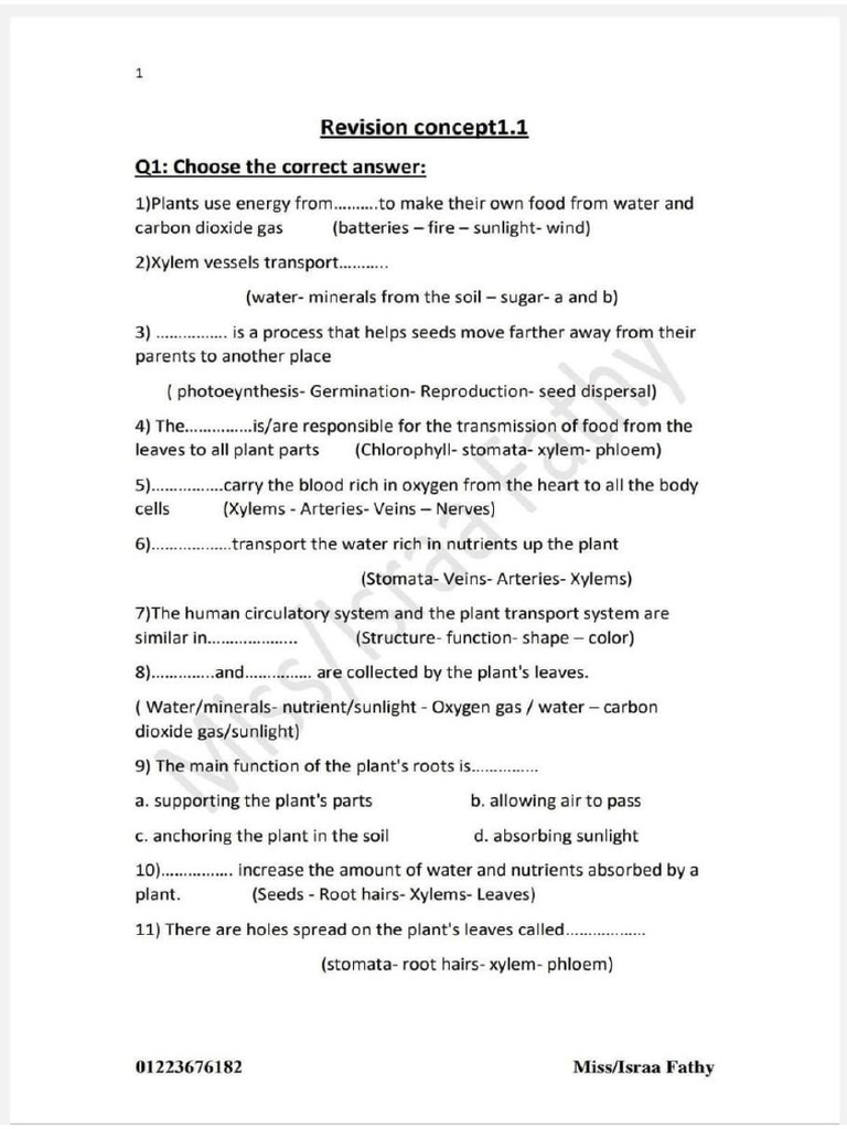 Sci Grade5 Revision | PDF