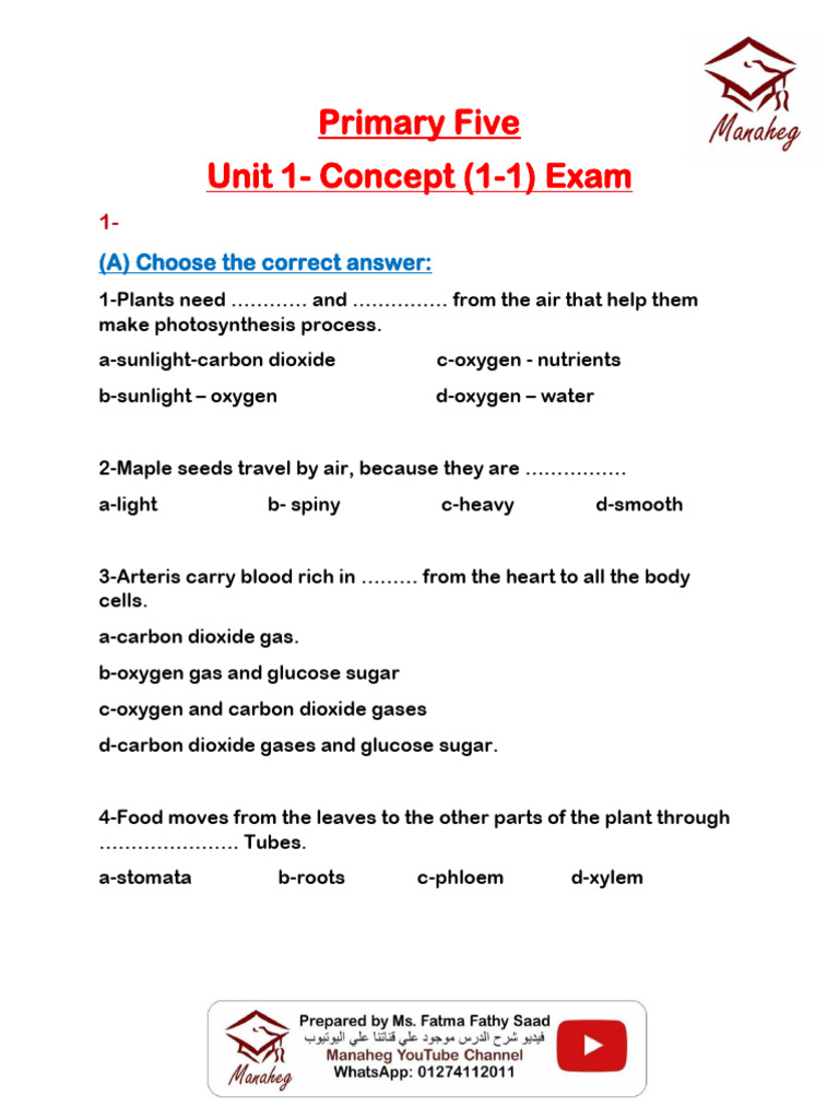 P5-Exam (1) | PDF