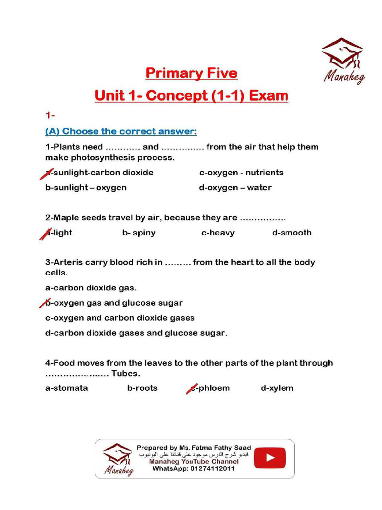 P5-Exam (1) - Model Answer | PDF