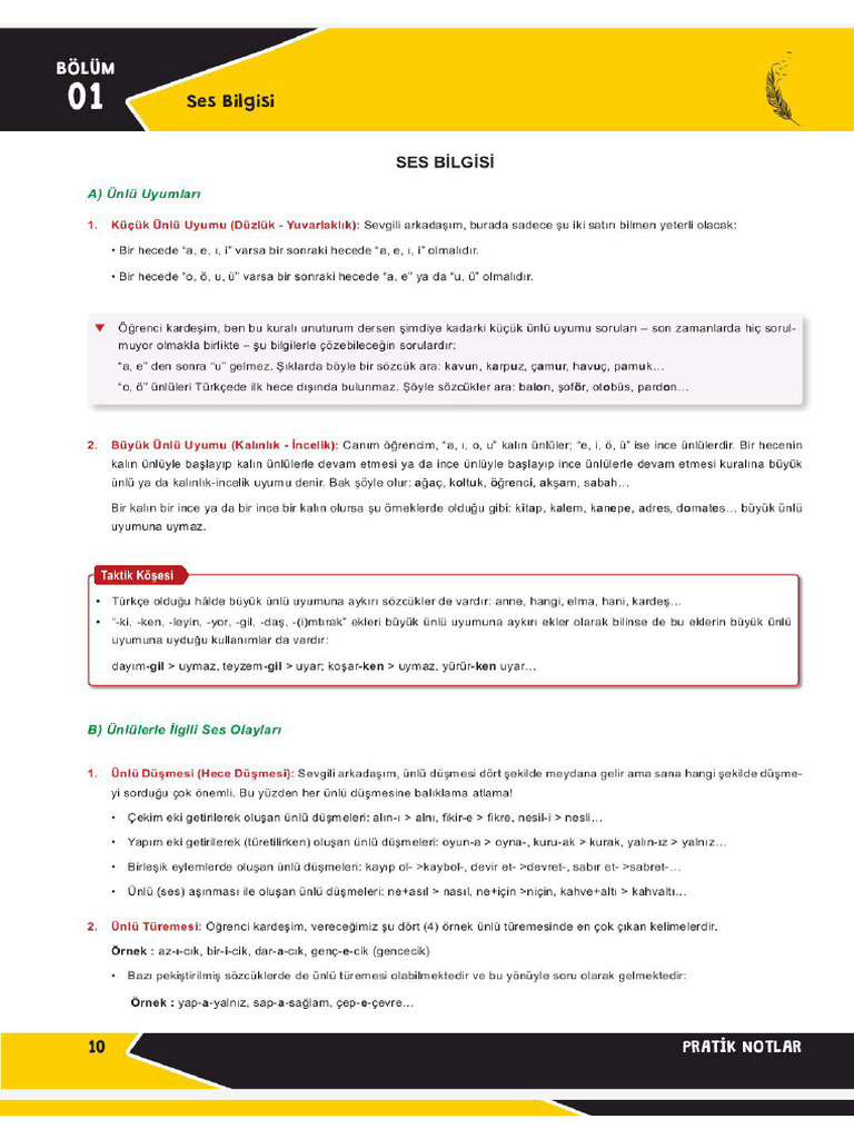 Dil Bil | PDF