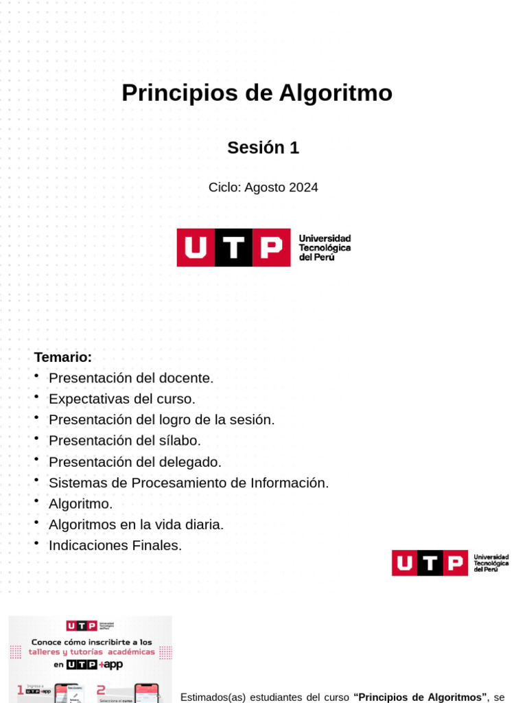 S01 - s1 - Principios de Algoritmo | PDF