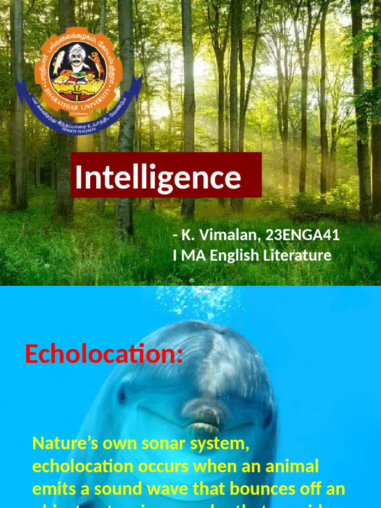 Vimalan - Natural intelligence | PDF