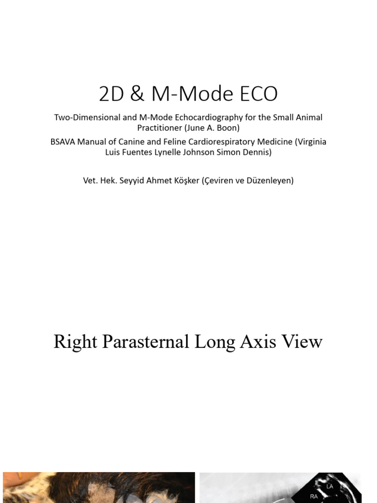 2D & M-Mode ECHO Practic | PDF