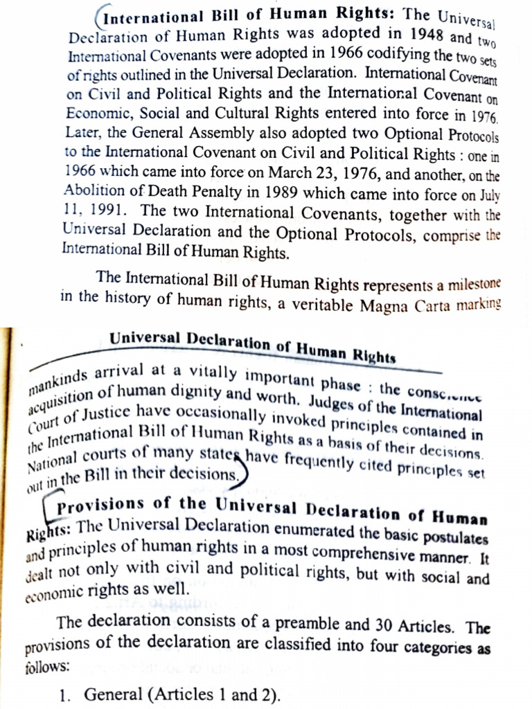 International Bill of Human Rights and Its Provisions | PDF
