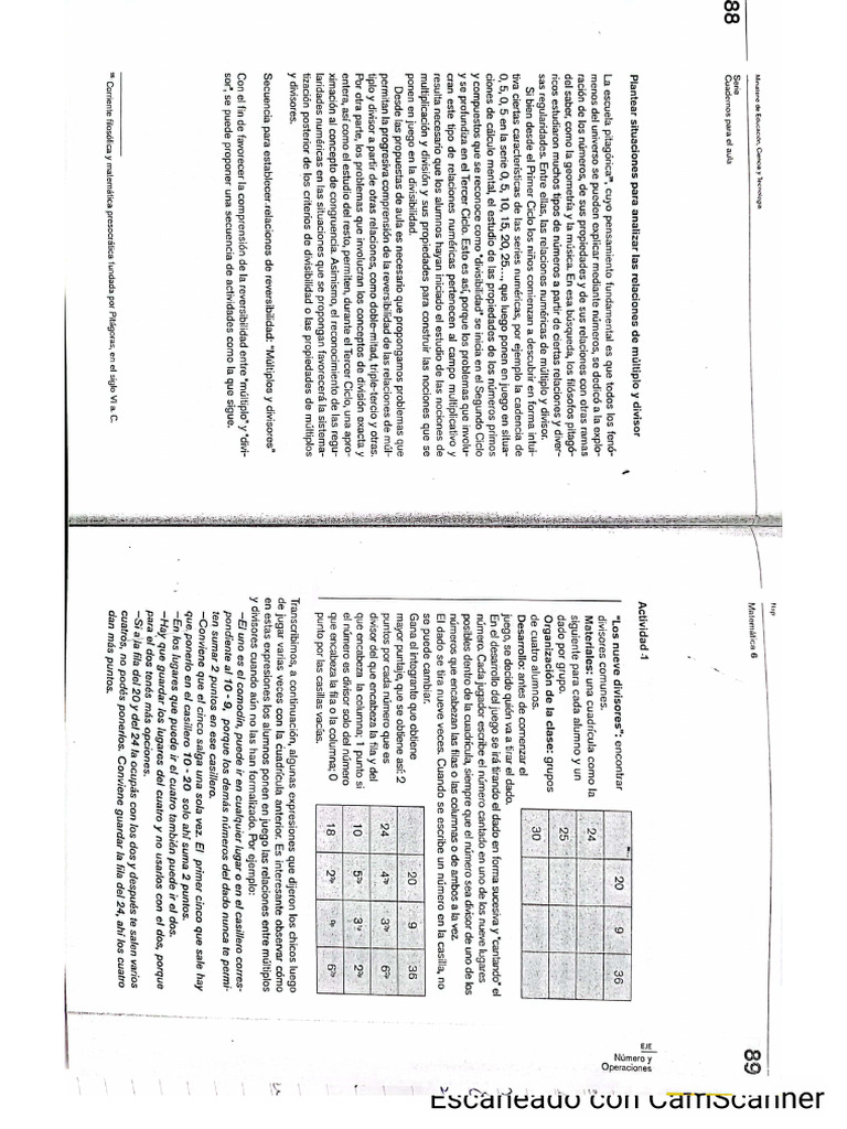 DIDÁCTICA MCM y DCM | PDF