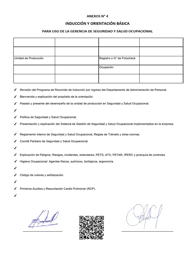 Anexo 4 | PDF | Seguridad y salud ocupacional | Tecnología