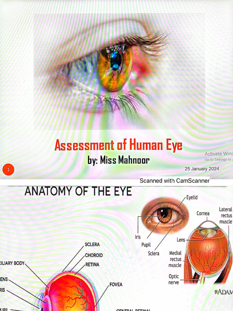 Assessment of Human Eye | PDF