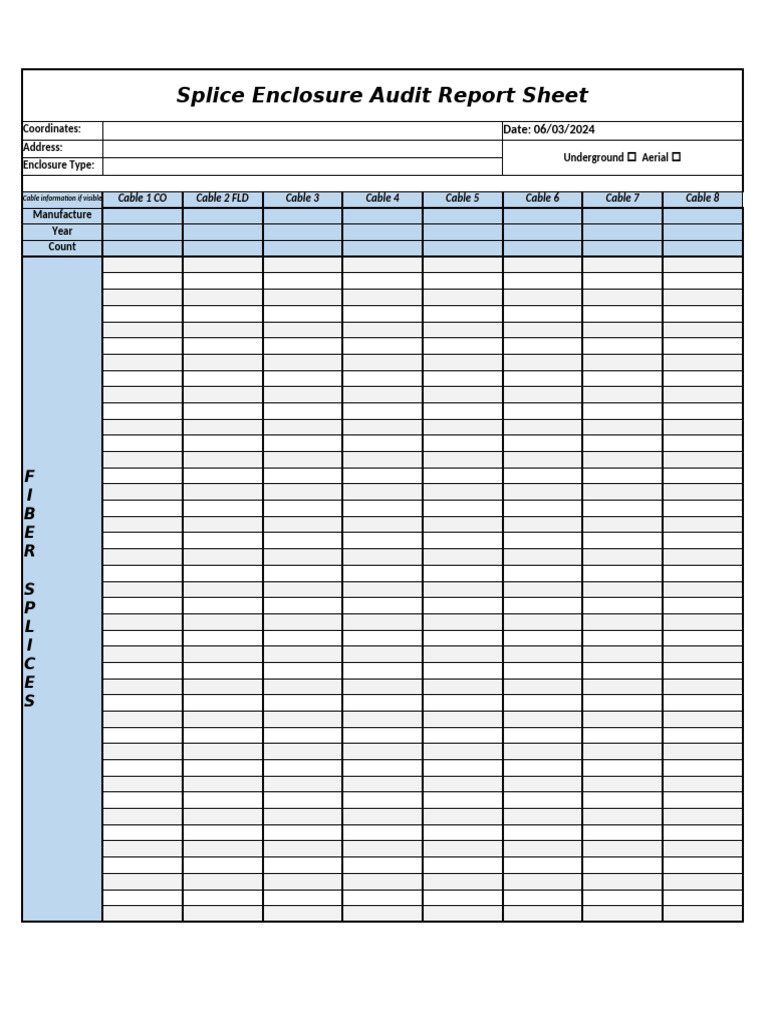 Audit Sheet | PDF