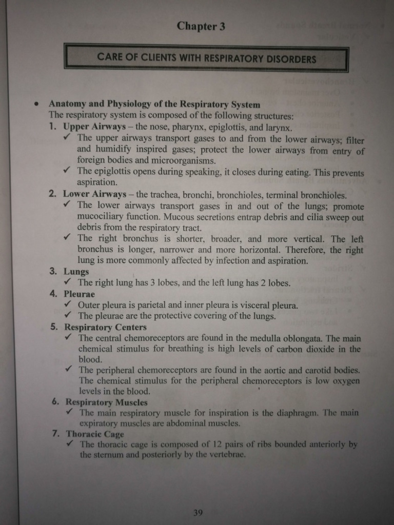 2 Reduced Udan Respi | PDF