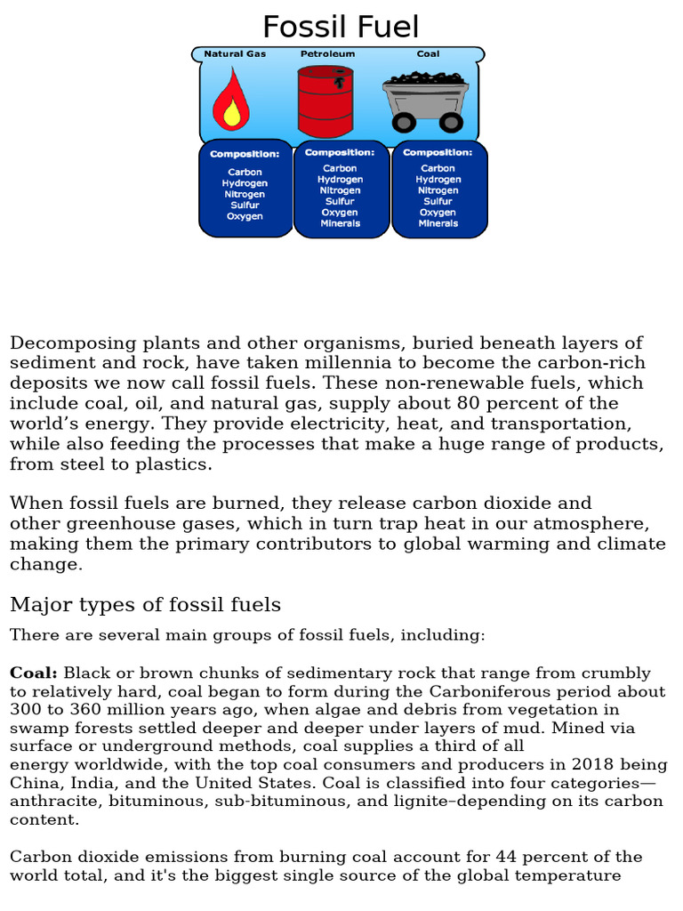 Fossil Fuel | PDF