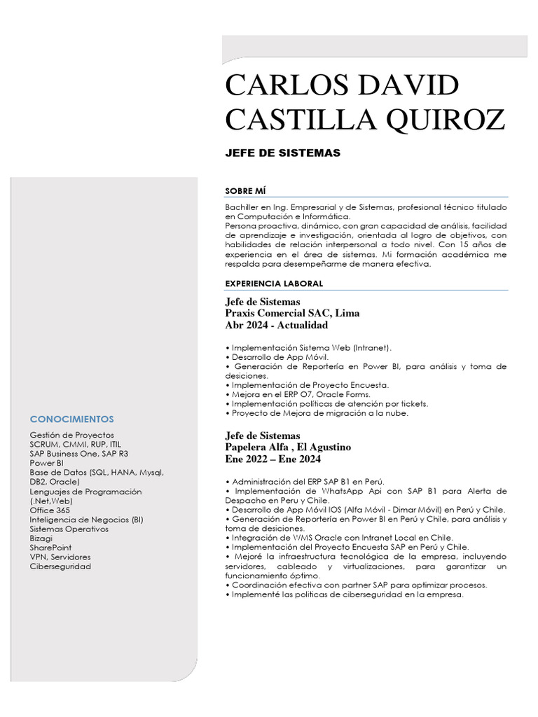 Cv Carlos Castilla | PDF