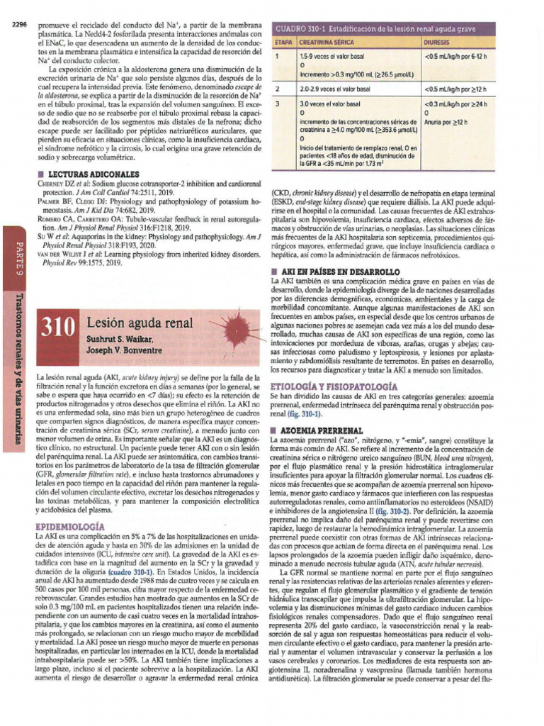 Enfermedad Renal Aguda Cap 310 | PDF