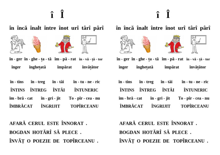 0 Fisa de Citit I I | PDF