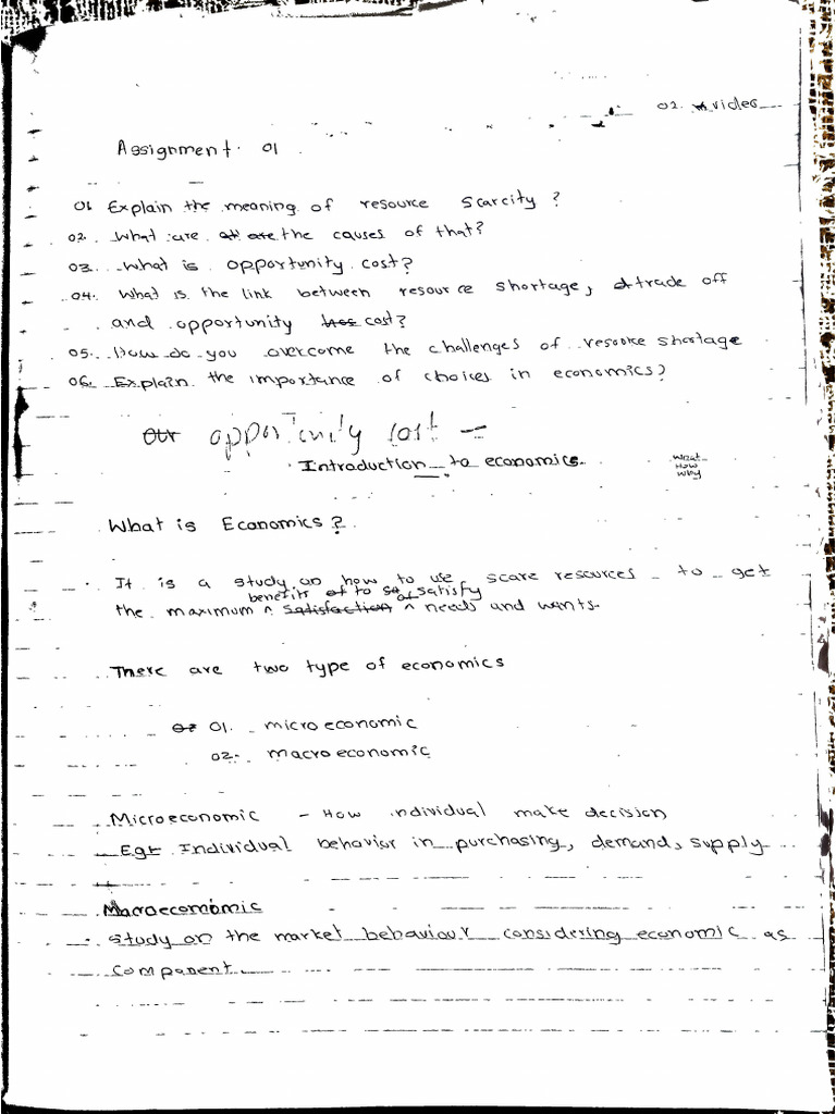Econ Notes | PDF