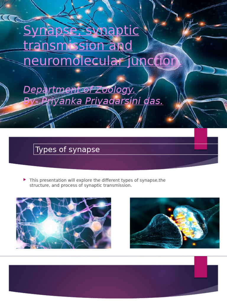 Synapse, Synaptic Transmission and Neuromolecular Junction.: Department ...