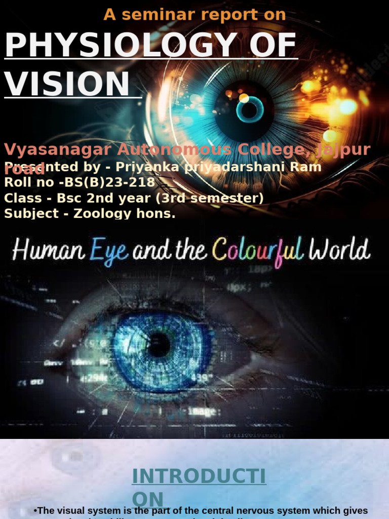 Physiology of Vision | PDF