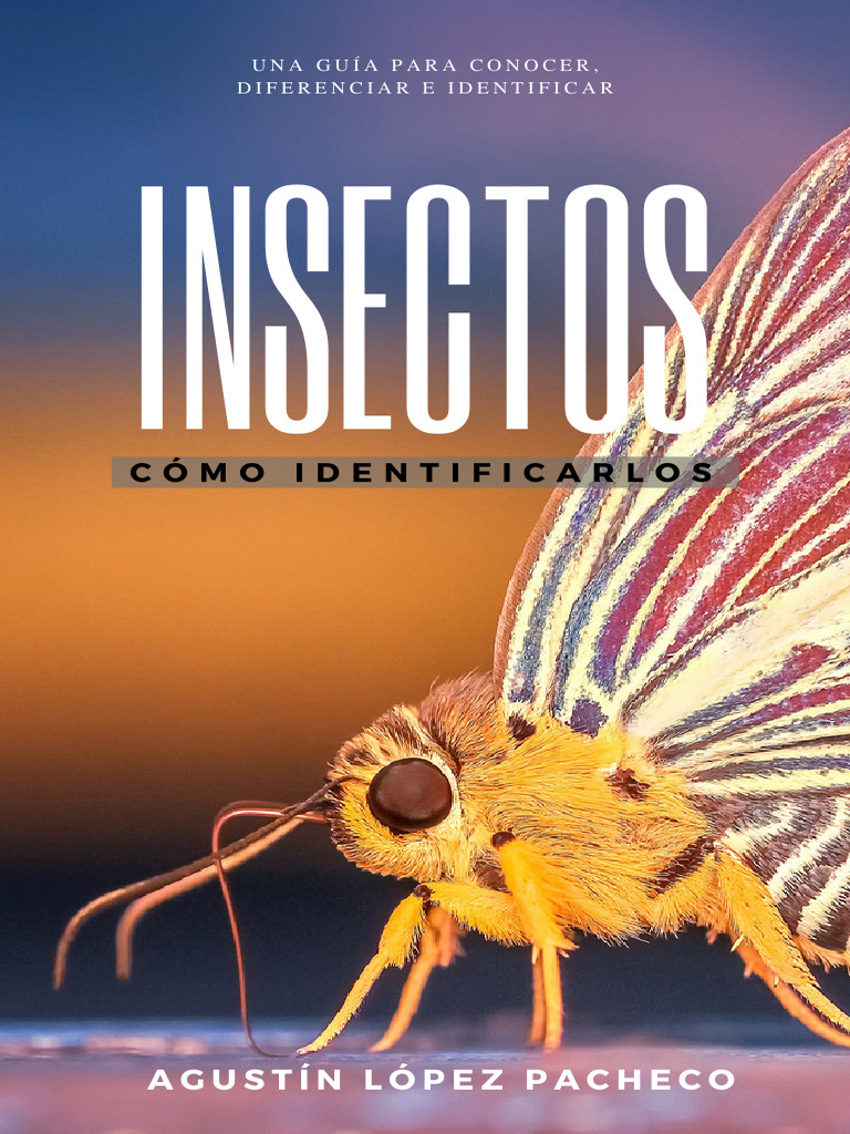 Guia Identificacion de Insectos | PDF | Insectos | Ciencia y matemáticas