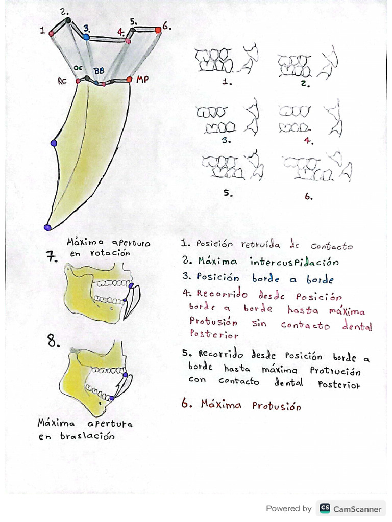 Diagrama de Posselt | PDF