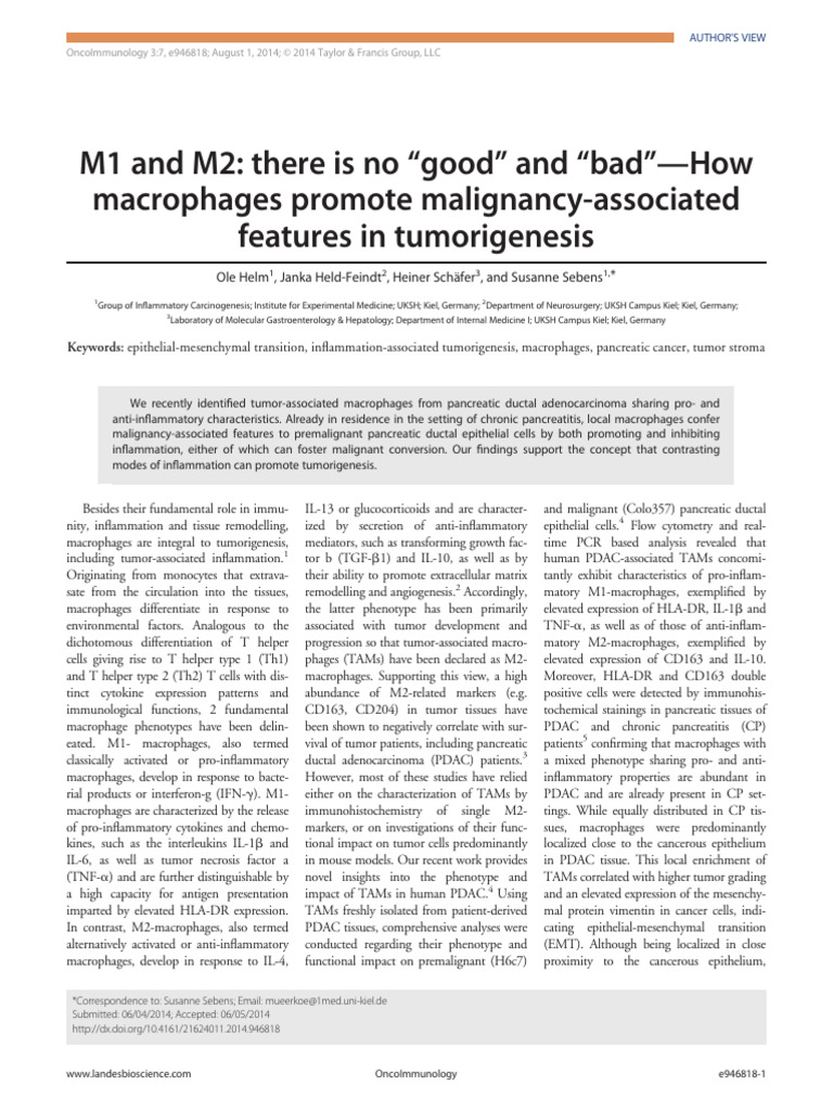 M1 and M2 There Is No Good or Bad. How Macrophages Promote Malignancy ...