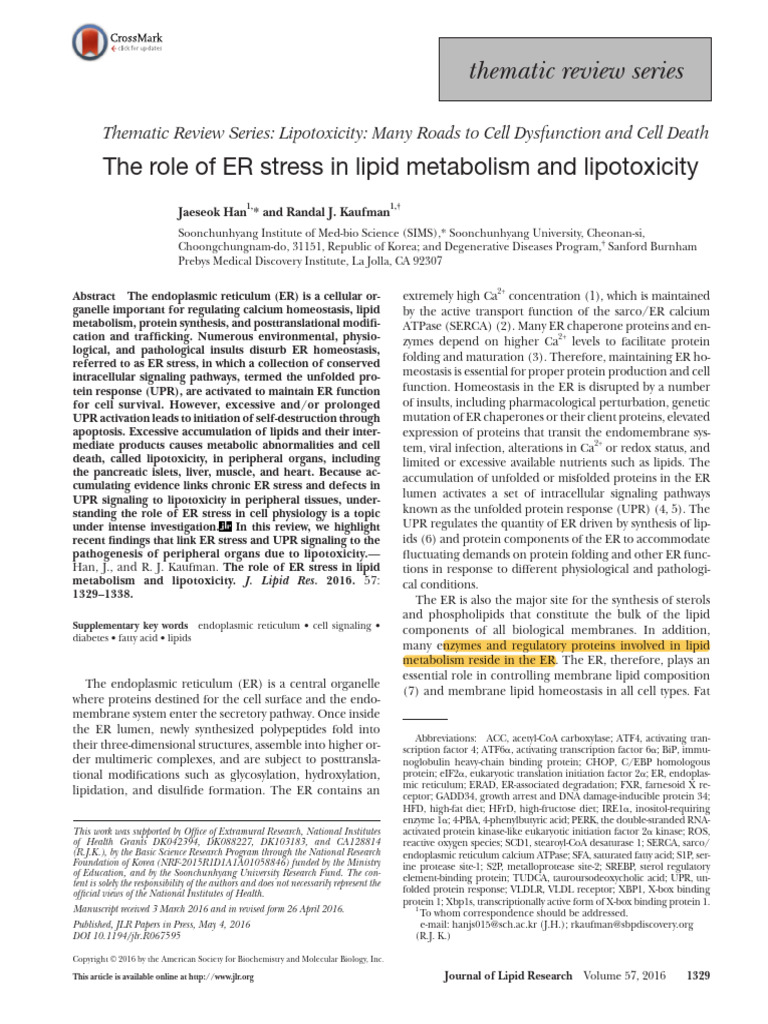 Han 2016 The Role of ER Stress in Lipid Metabolism and Lipotoxicity | PDF