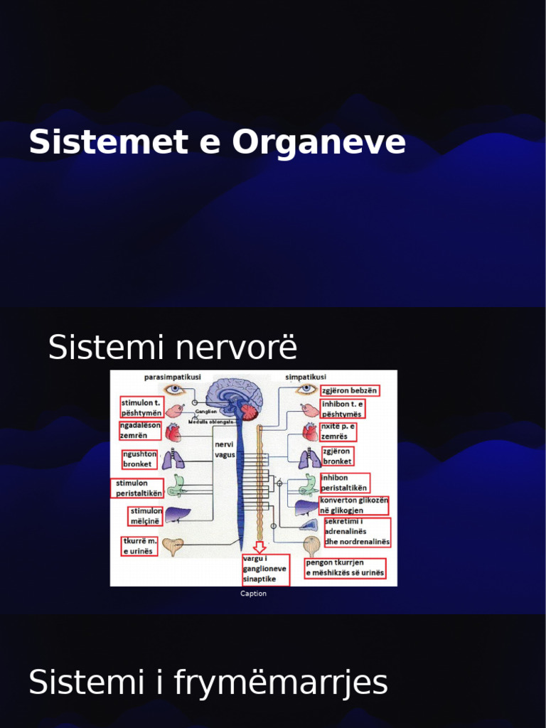 Sistemet e Organeve | PDF