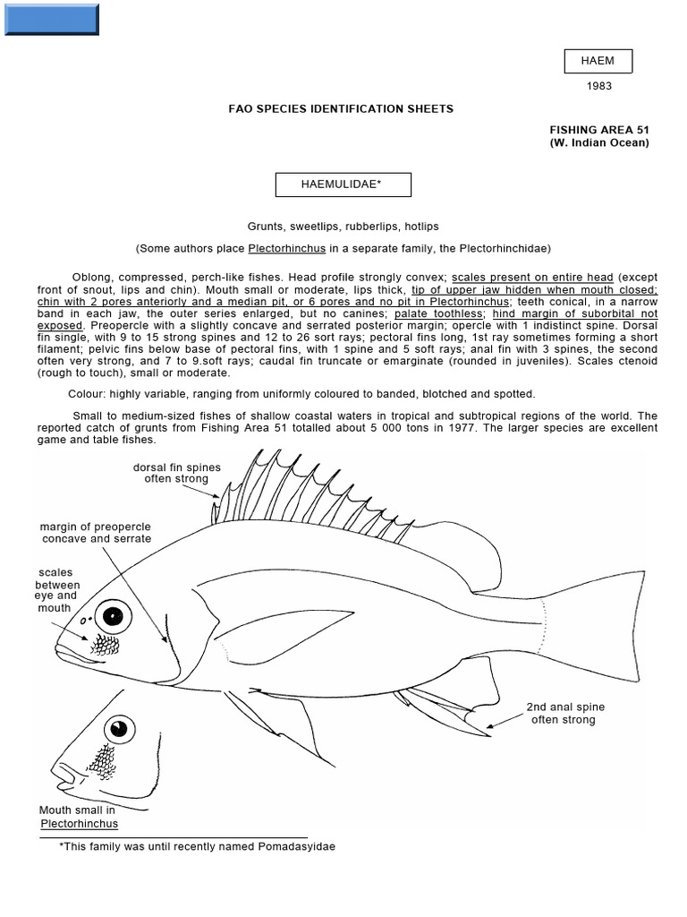 Fao Species Identification Sheets Fishing Area 51 (W. Indian Ocean) | PDF