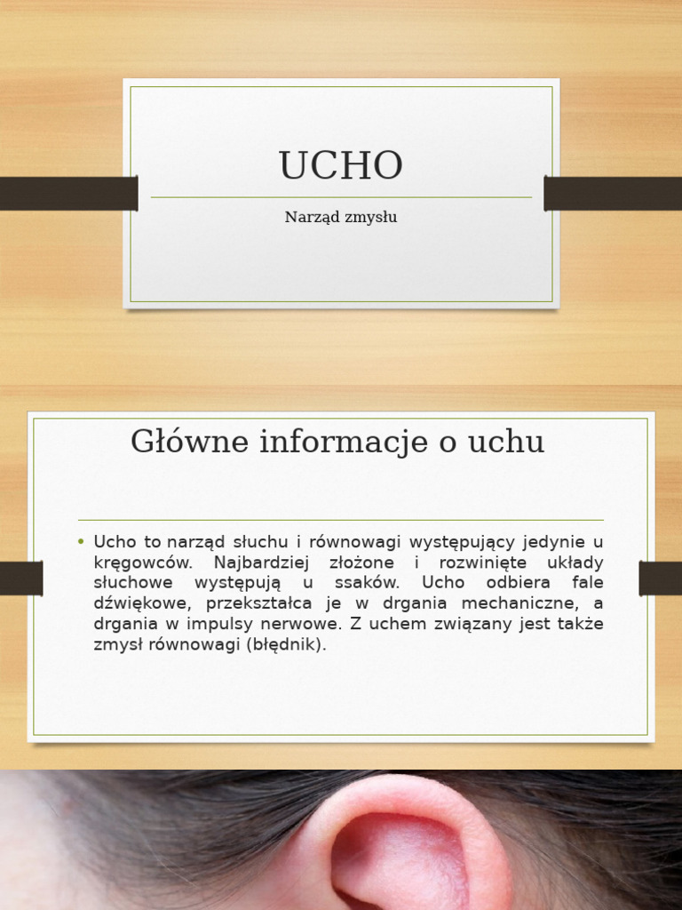 UCHO | PDF