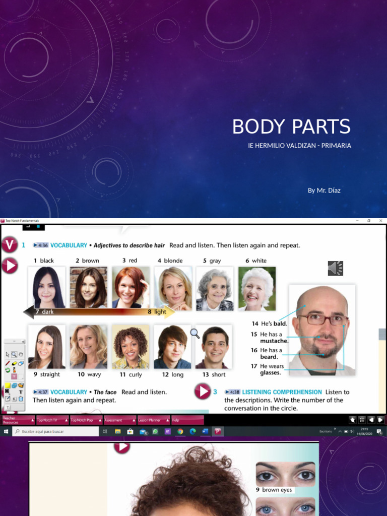 Body Parts Diapo | PDF