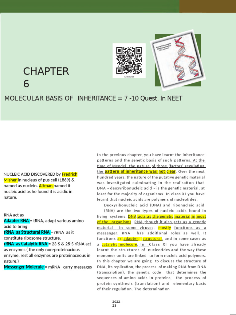 Genetics Chap.2 Molecular Basis of Inheritance | PDF | Dna Replication ...