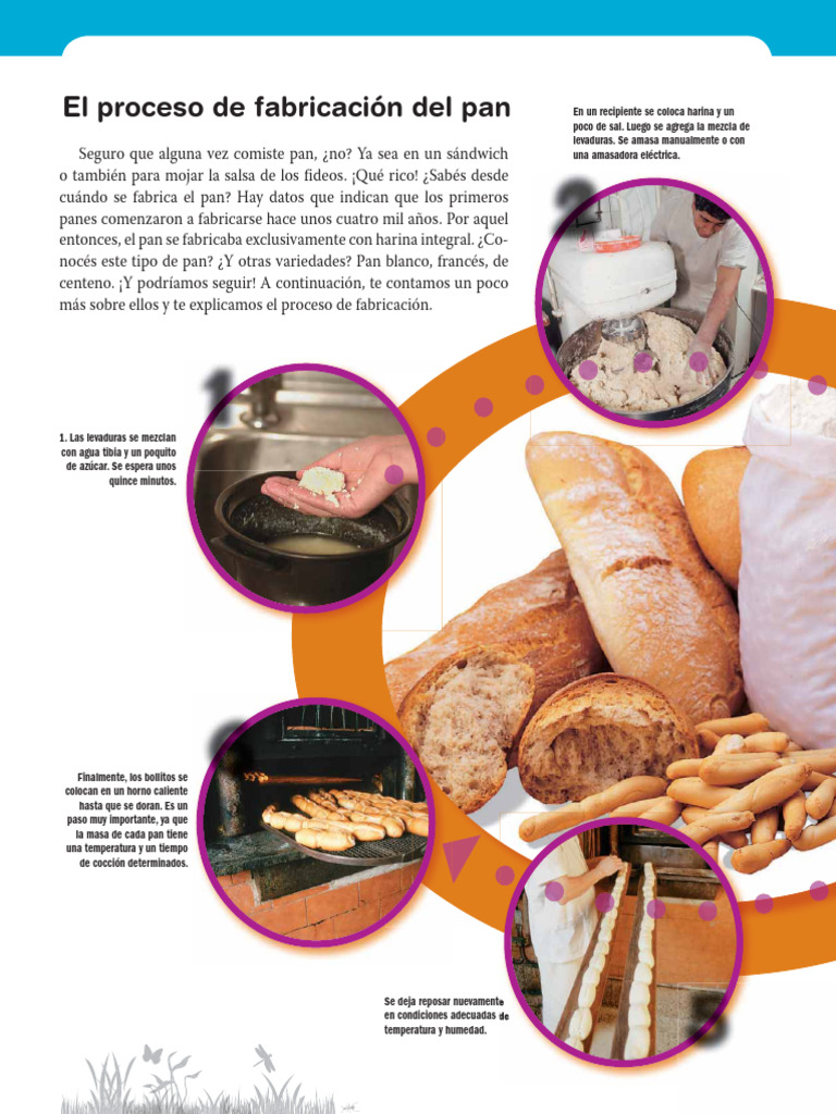 D0436a cn5 Caba Animate p074 075 | PDF