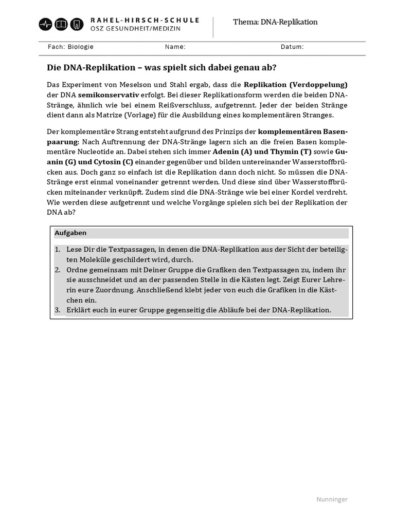 AB DNA Replikation RHS | PDF