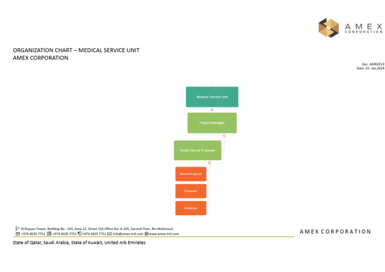 Amex Corp - Organization Chart Msu | PDF