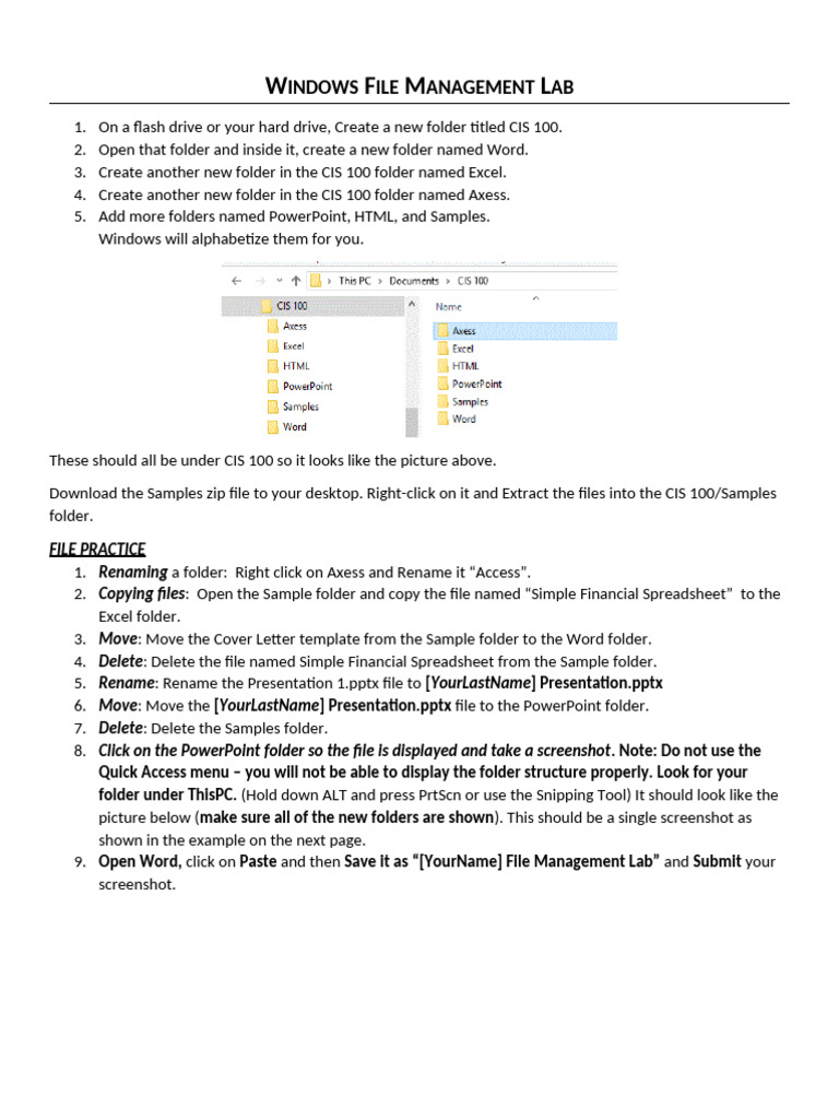 Windows File Management Lab | PDF