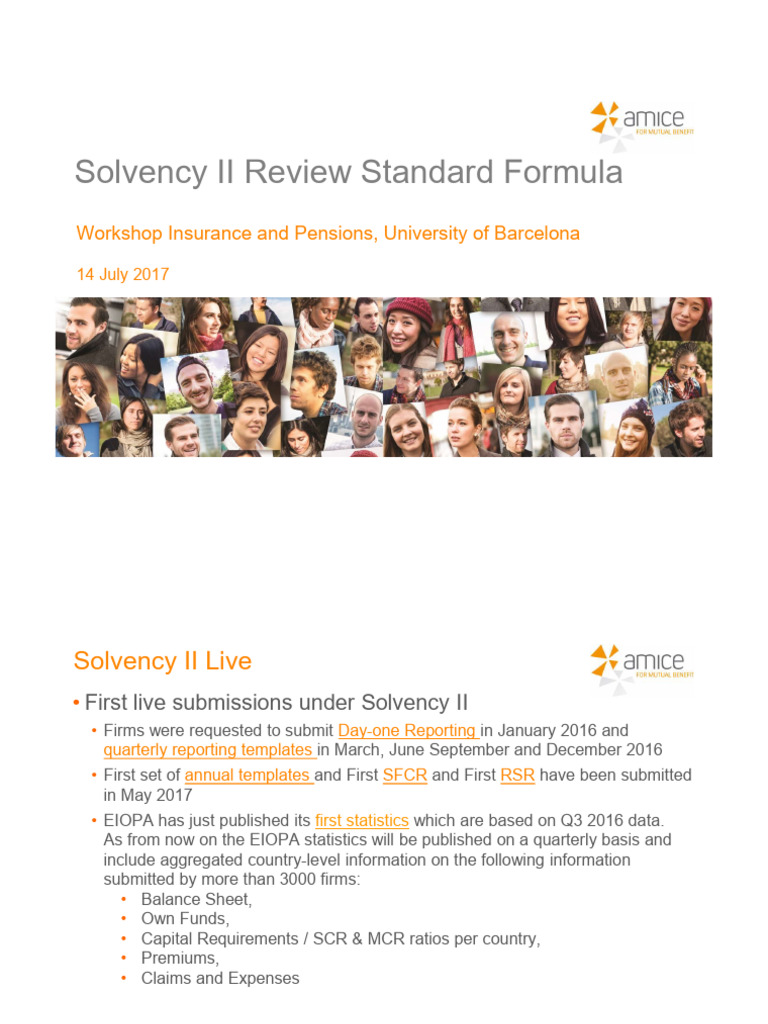 Solvency II Review Standard Formula | PDF