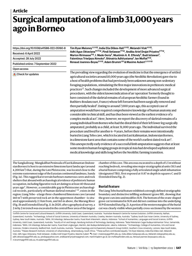 Surgical Amputation of A Limb 31,000 Years Ago in Borneo | PDF