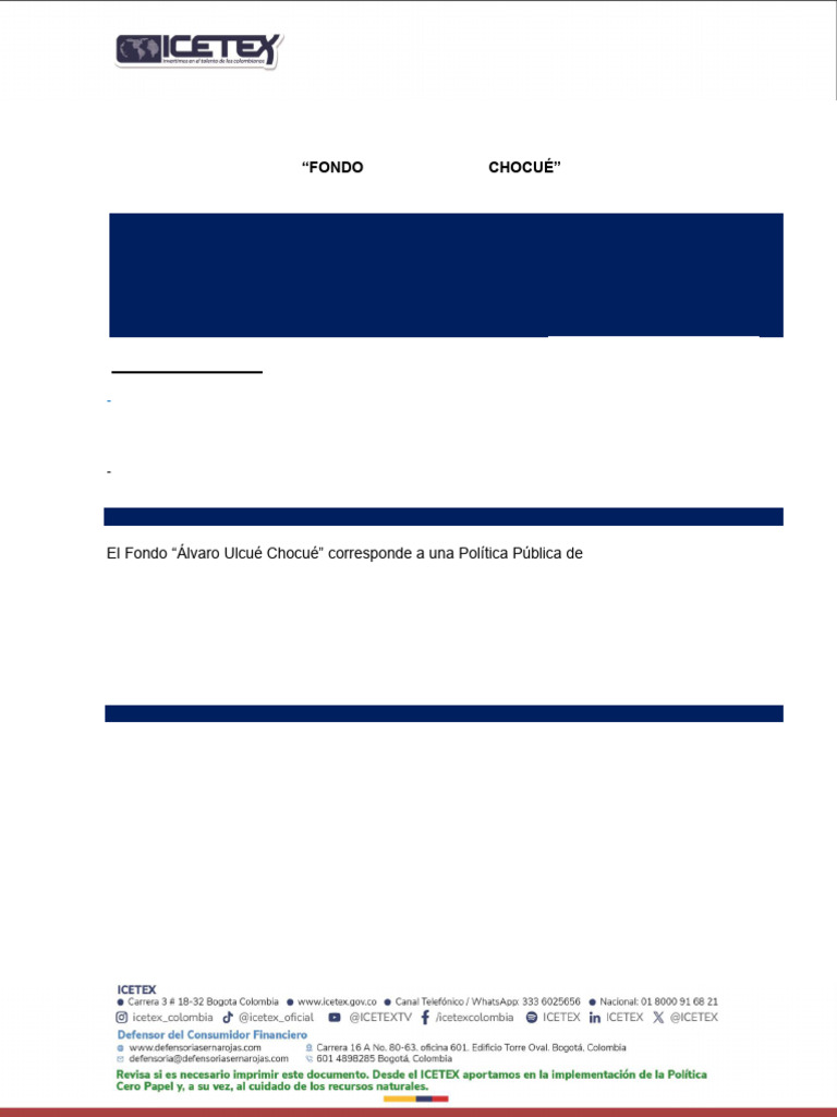Terminos de Referencia Convocatoria Alvaro Ulcue Chocue 2024 2 | PDF
