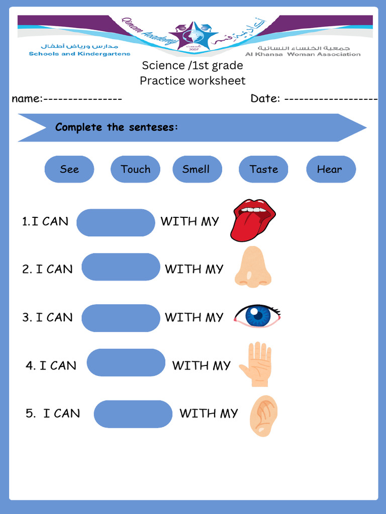 _Science 1st grade practice worksheet | PDF