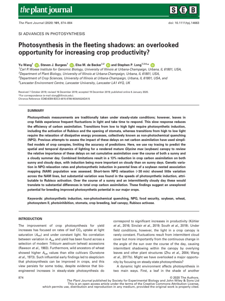 The Plant Journal - 2020 - Wang - Photosynthesis in The Fleeting ...