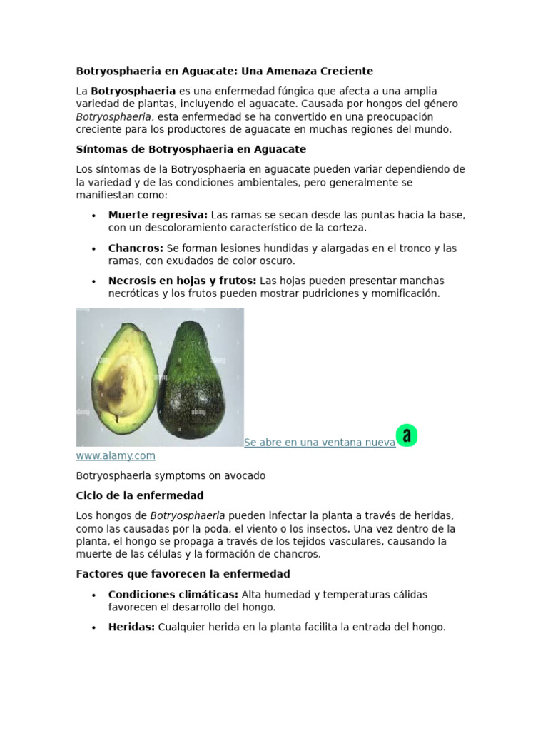 Botryosphaeria en Aguacate | PDF