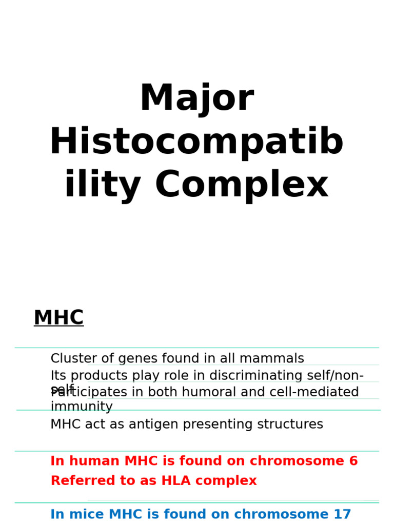 6 - MHC and Complements | PDF