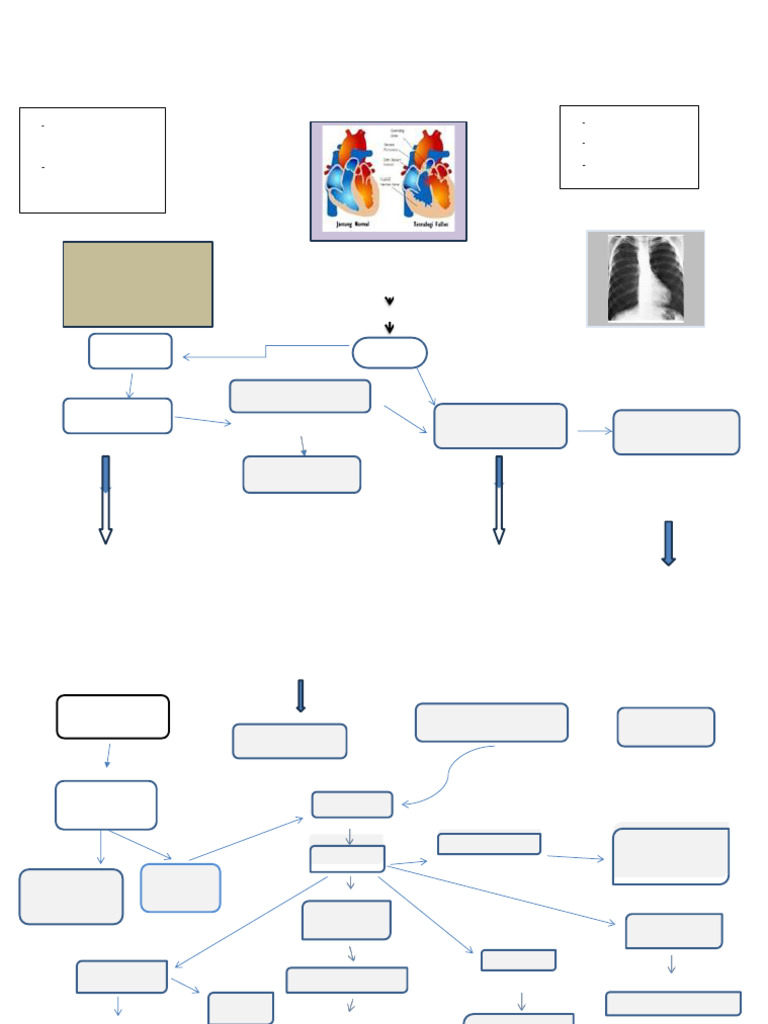 Woc Tof Revisi Iman2 | PDF | Heart | Pediatrics