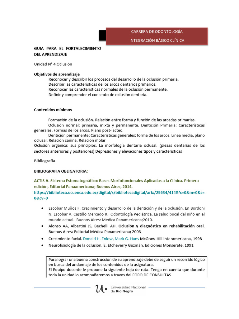 Guia IBC oclusion 2024 | PDF