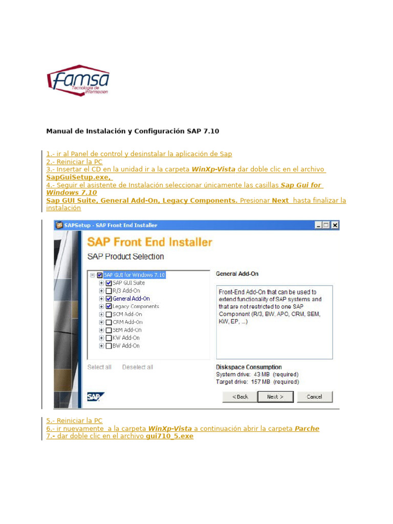 Manual SAP | PDF