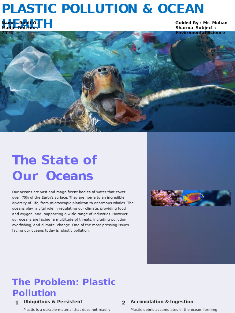 Plastic Pollution | PDF