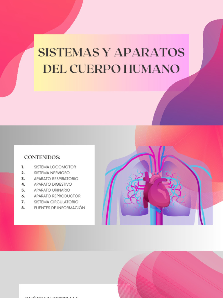 Sistemas y aparatos del cuerpo humano (1) | PDF