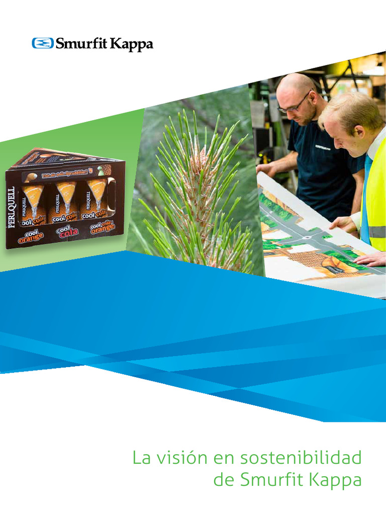 Smurfit Kappa_Sustainability_Vision_Spanish | PDF