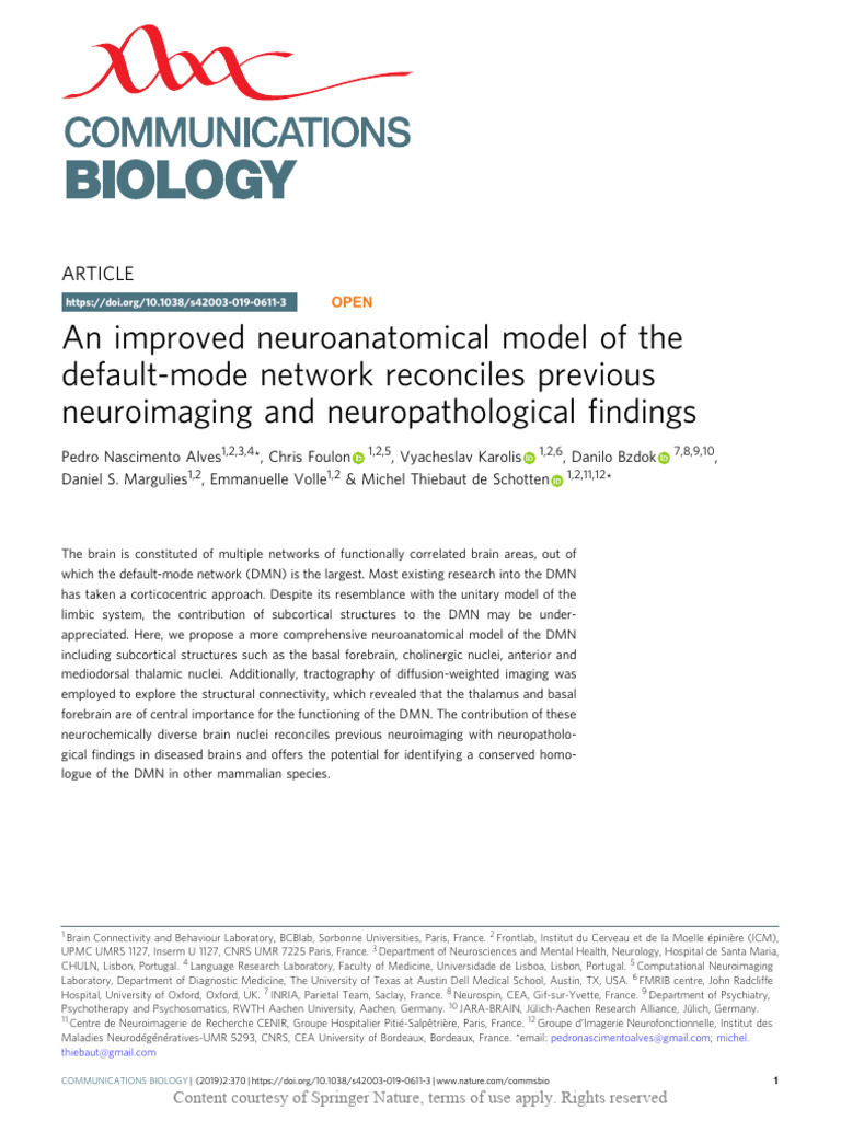 Default Mode Network Graph | PDF