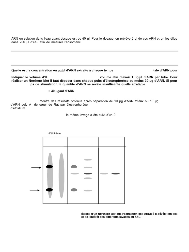 Td de Methodologie 2022 | PDF